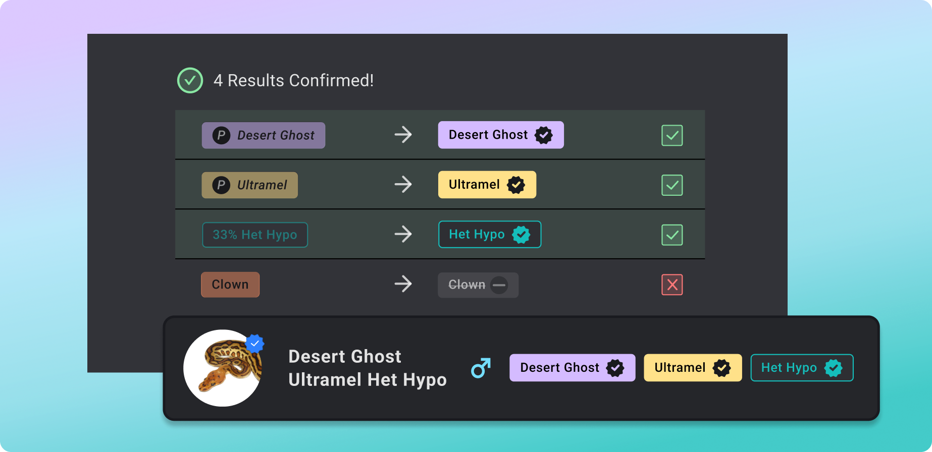 Cltch: Ball Python Collection Management Software