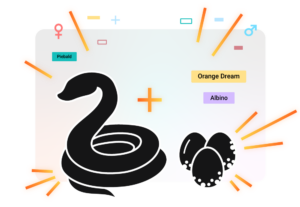 Cltch: Ball Python Collection Management Software