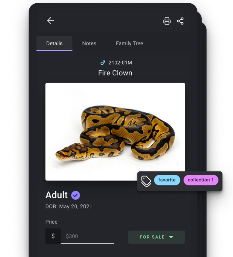 Cltch: Ball Python Collection Management Software